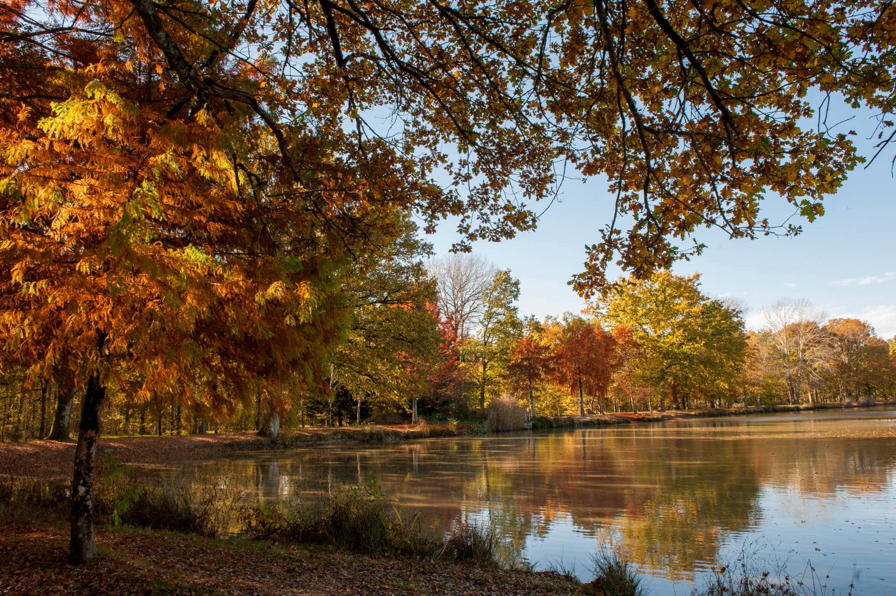 Ma ville - Mairie de La Ferté Saint-Aubin